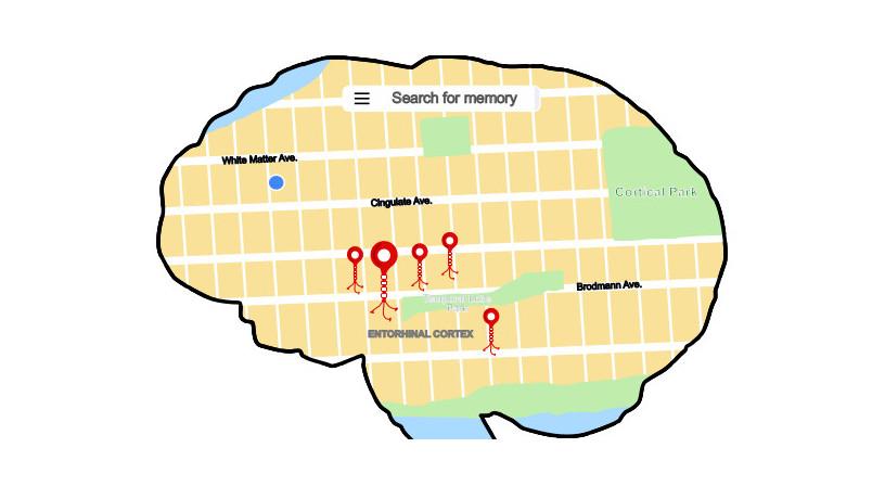 Specific Neurons that Map Memories Now Identified in the Human Brain ...