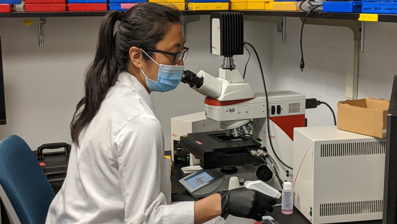 Back in the Lab | Biomedical Engineering