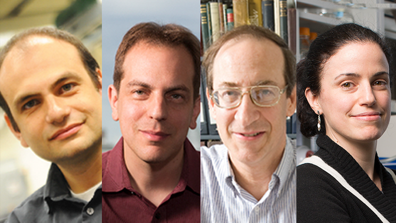 Four Faculty Elevated to IEEE Fellows | Biomedical Engineering
